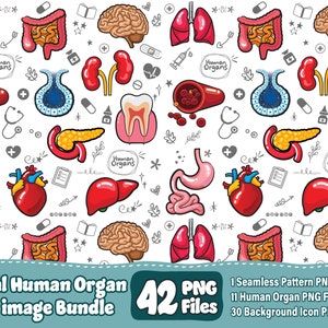 Human Organ Seamless Design: Medical PNG Bundle (digital Download) - Etsy