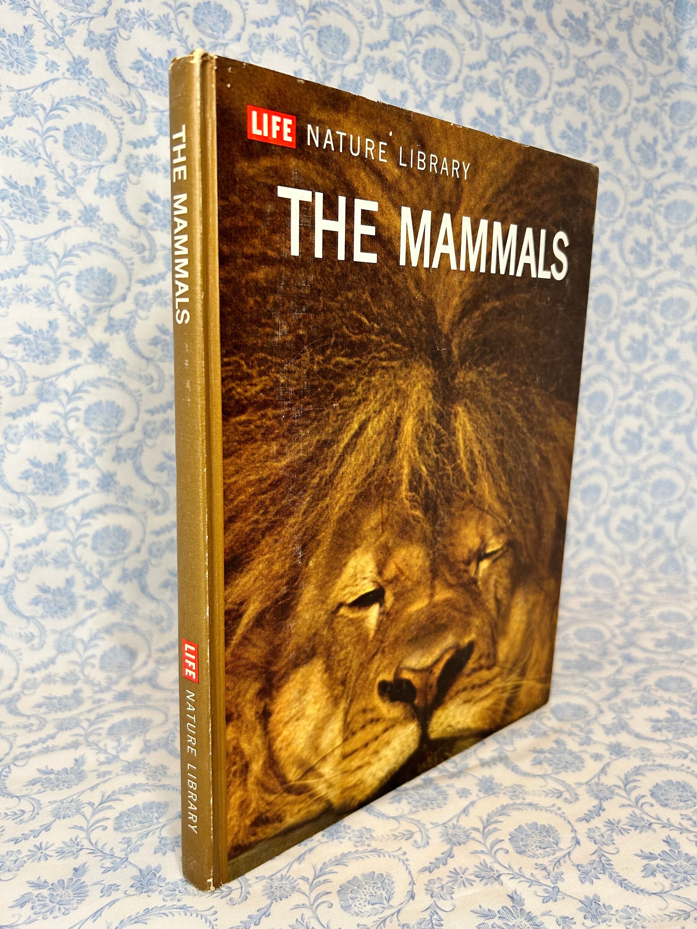 Vintage 1970s the MAMMALS by LIFE Nature Library - Etsy