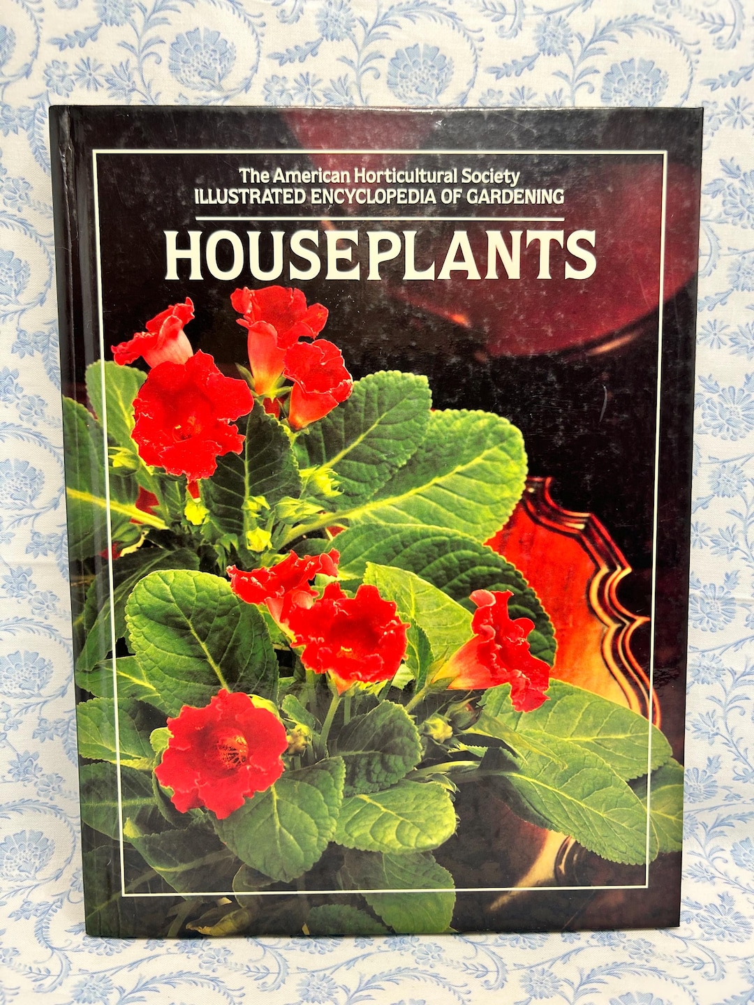 Vintage 1974 Houseplants Book - Etsy
