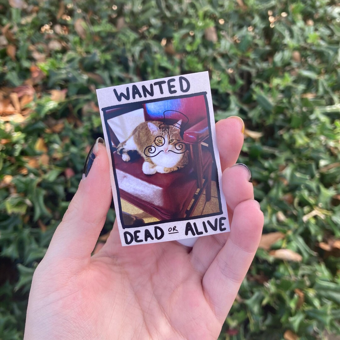 Milkshake the Cat Wanted Poster Sticker and Decal - Etsy