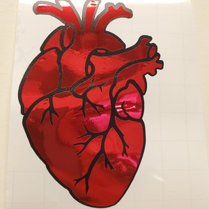 Real Anatomically Correct Red Heart Cardiology Decal Sticker for Cars ...