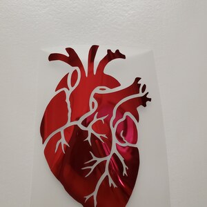 Real Anatomically Correct Red Heart Cardiology Decal Sticker for Cars ...