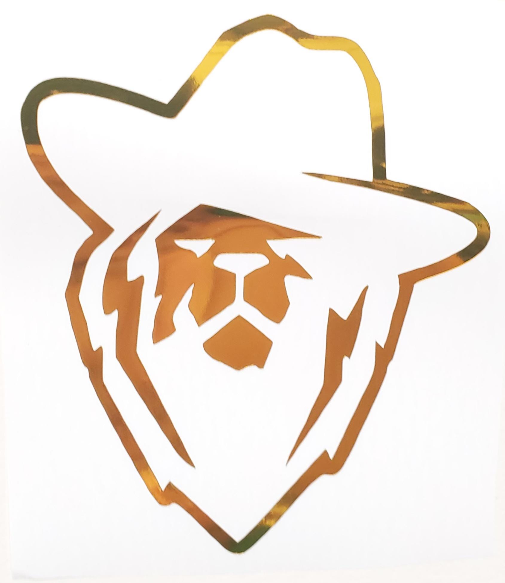 Mexican Artist Carin Leon Logo Decal Sticker for Car Windows, Laptops ...