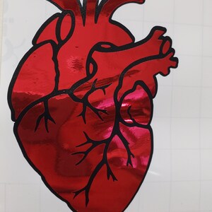 Real Anatomically Correct Red Heart Cardiology Decal Sticker for Cars ...