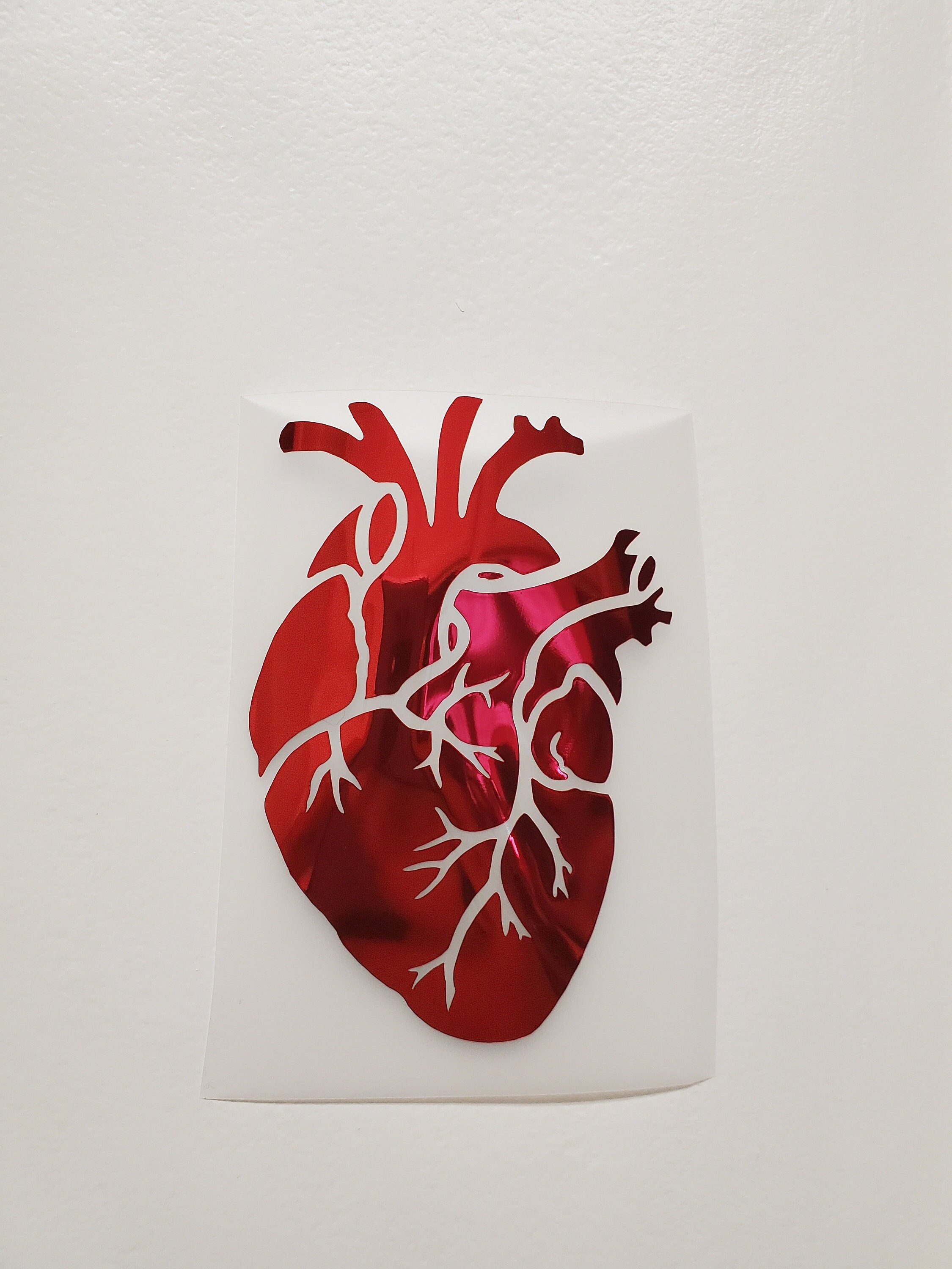 Real Anatomically Correct Red Heart Cardiology Decal Sticker for Cars ...