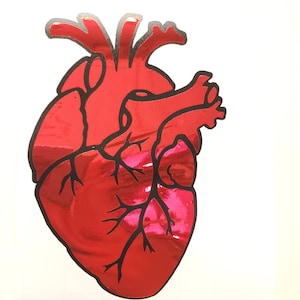 Real Anatomically Correct Red Heart Cardiology Decal Sticker for Cars ...