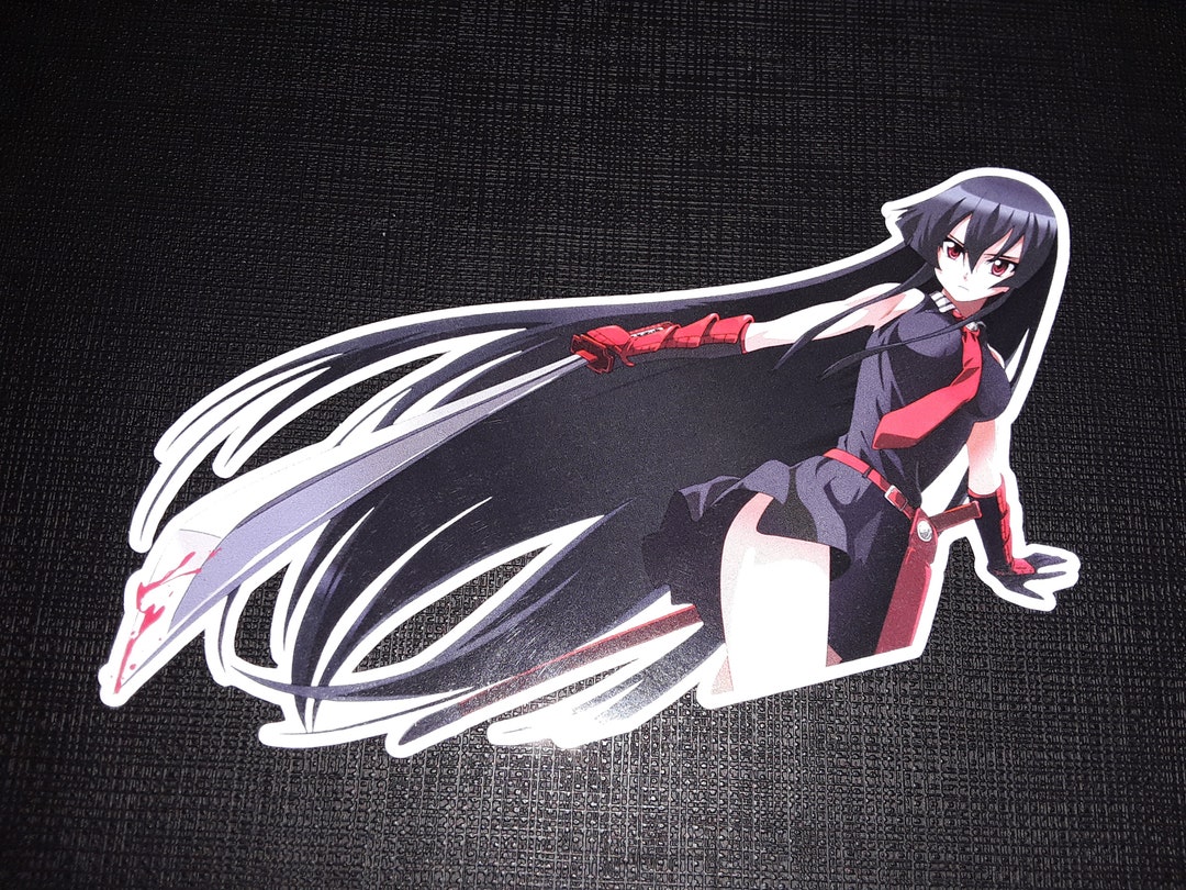 Akame Ga Kill Glossy Sticker Anime Character Waterproof! - Etsy