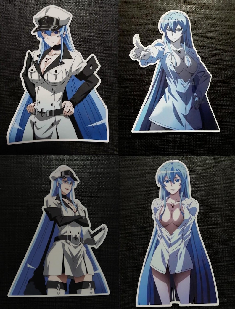 Esdeath Akame Ga Kill Various Versions Glossy Sticker Anime Character ...