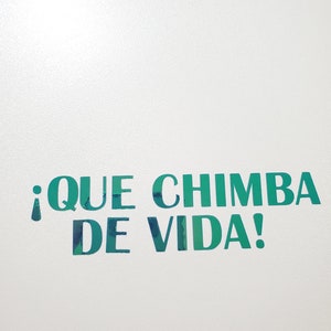 La Bichota Karol G "que Chimba De Vida" Sticker Vinyl Decal Car Windows ...