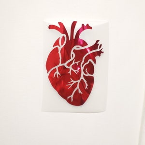 Real Anatomically Correct Red Heart Cardiology Decal Sticker for Cars ...
