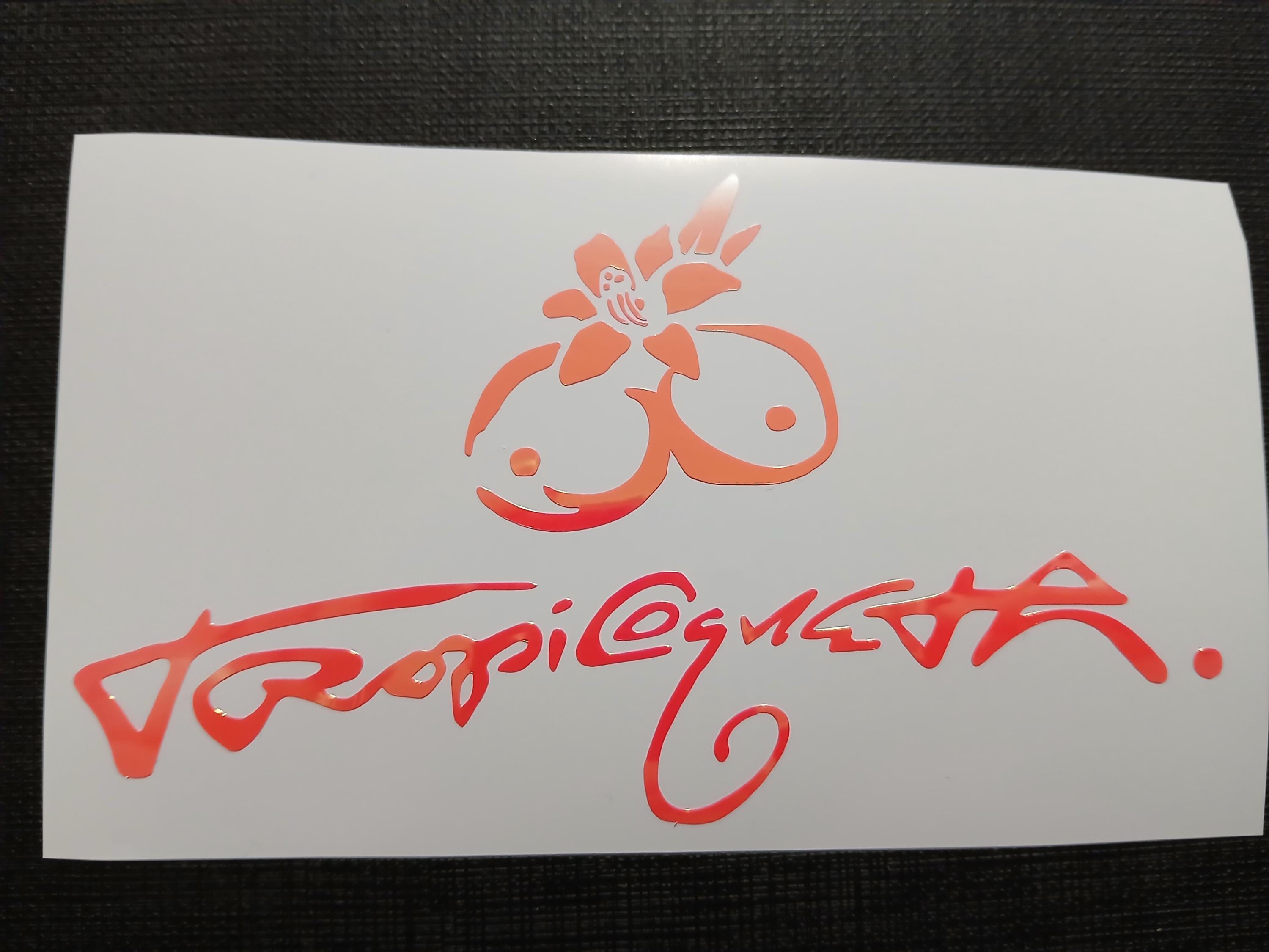 Karol G Tropicoqueta New Album Sticker Vinyl Decal to Personalize Car ...