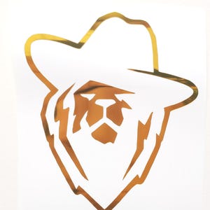 Mexican Artist Carin Leon Logo Decal Sticker for Car Windows, Laptops ...