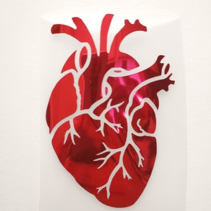 Real Anatomically Correct Red Heart Cardiology Decal Sticker for Cars ...