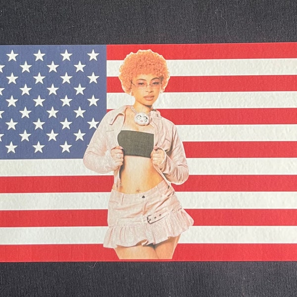 Ice Spice Flag - Etsy