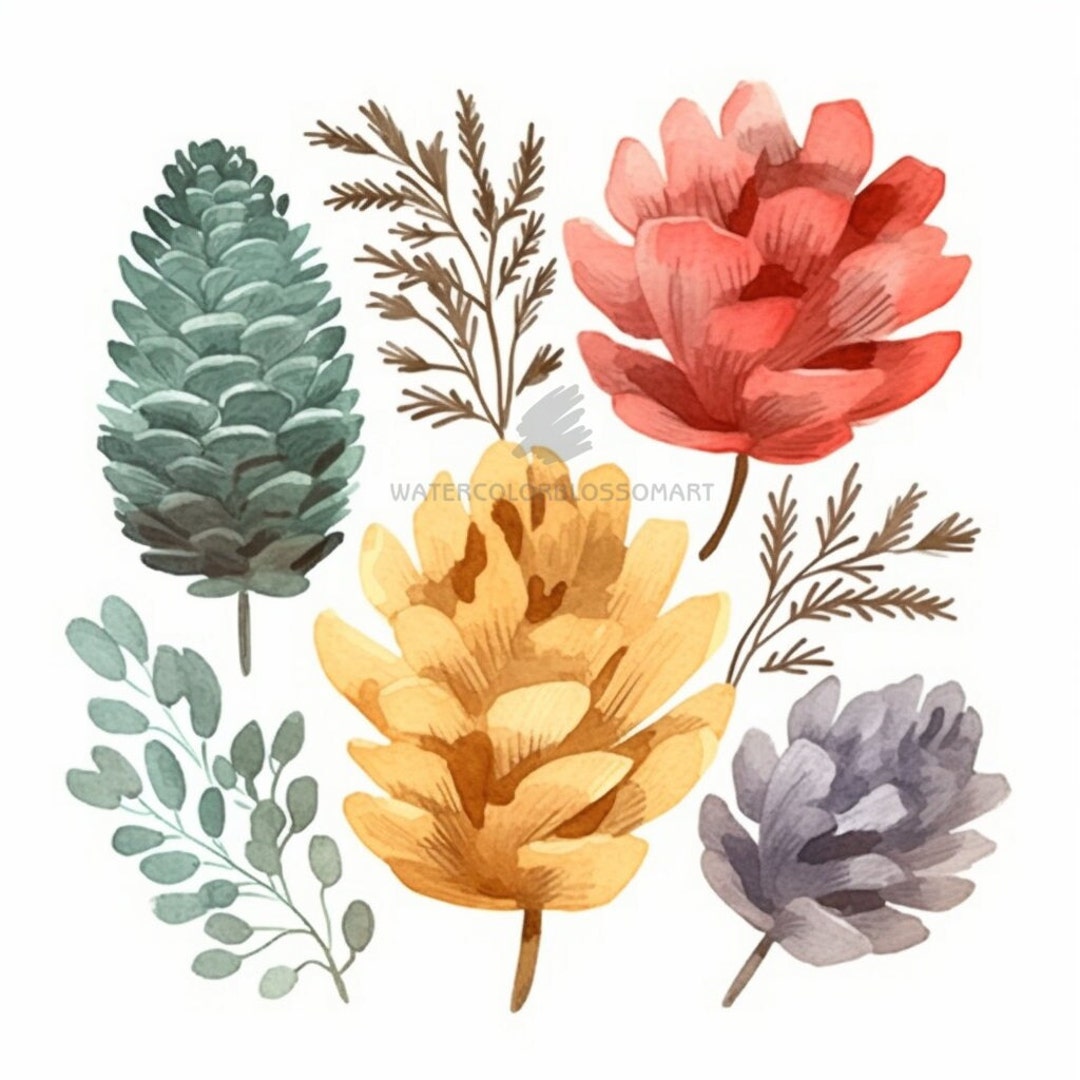 Beautiful Pine Cone Watercolor Clipart | Perfect for Invitations ...