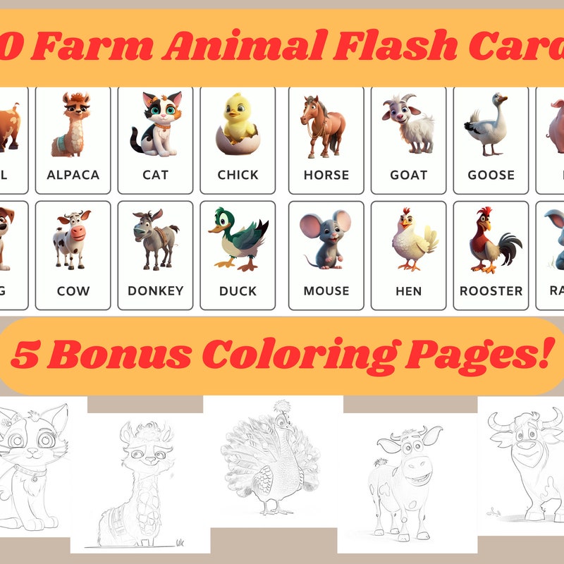 Animal Flash Cards - Etsy