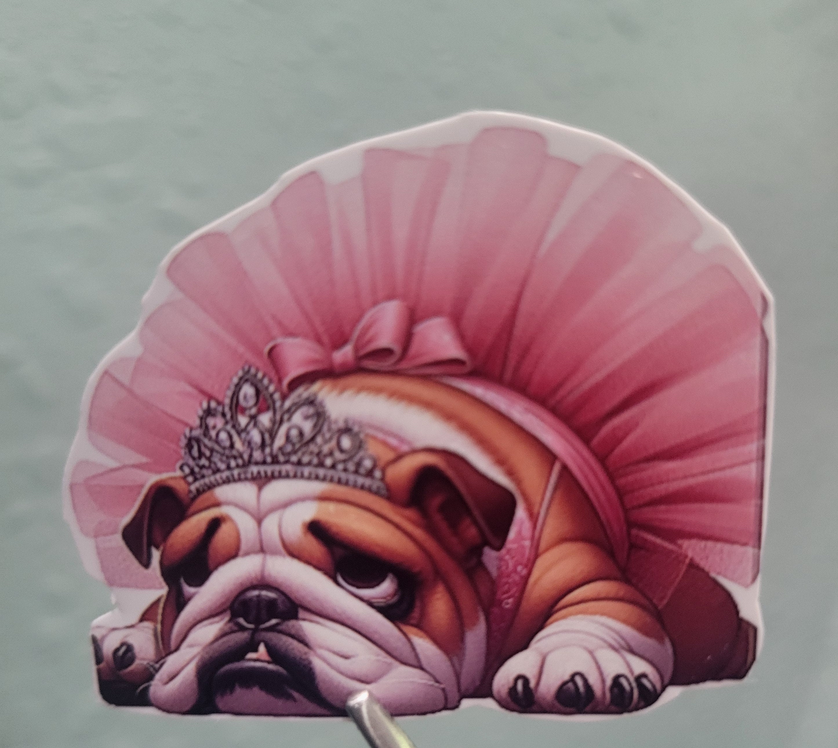New #4 Med Sticker English Bulldog Puppy Standing in a Pink Tutu ...