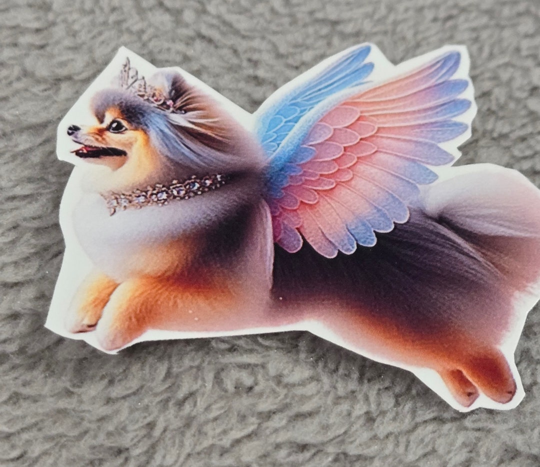 Angel Blue Merle Pomeranian , Tiara Rainbow Bridge, Journaling, Gift ...
