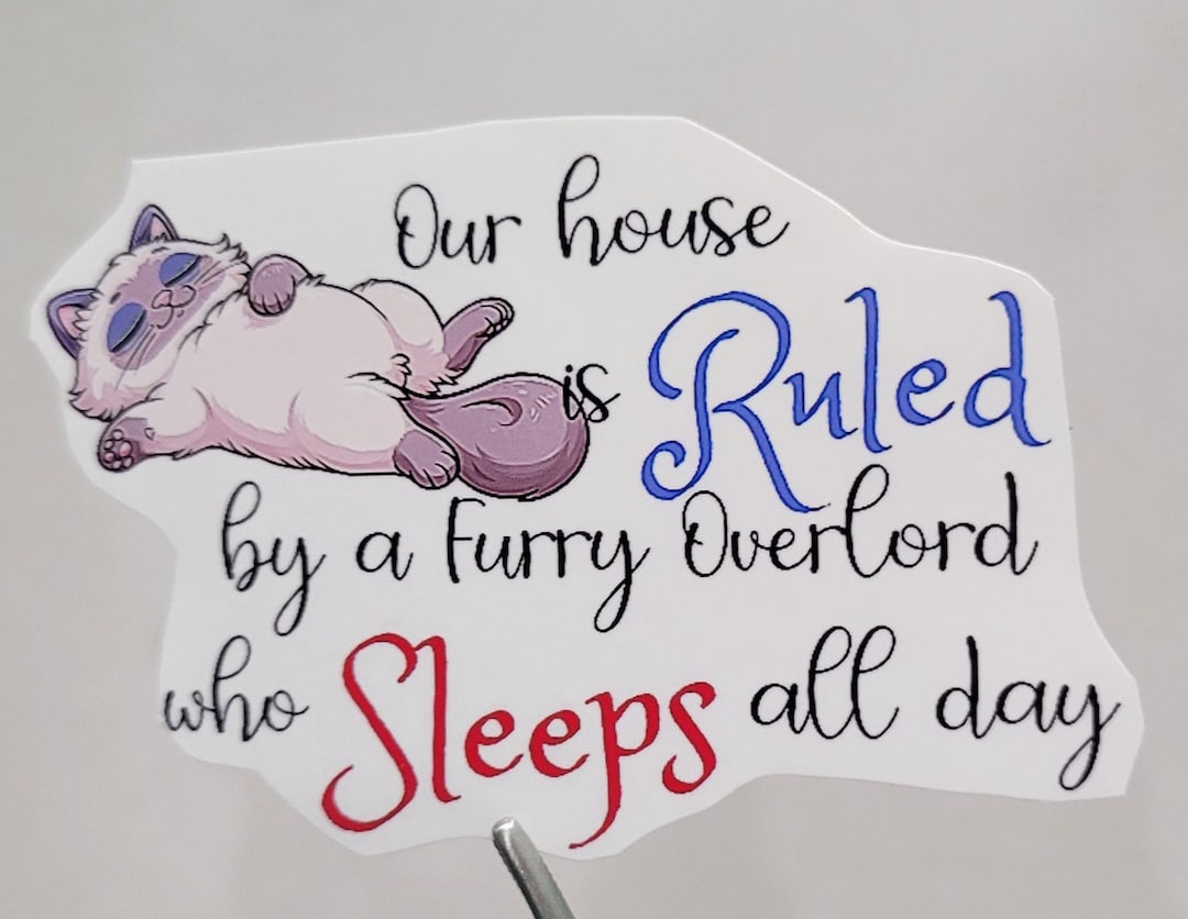 Furry Overlord Cat Sticker, Waterproof Vinyl Decal - Etsy