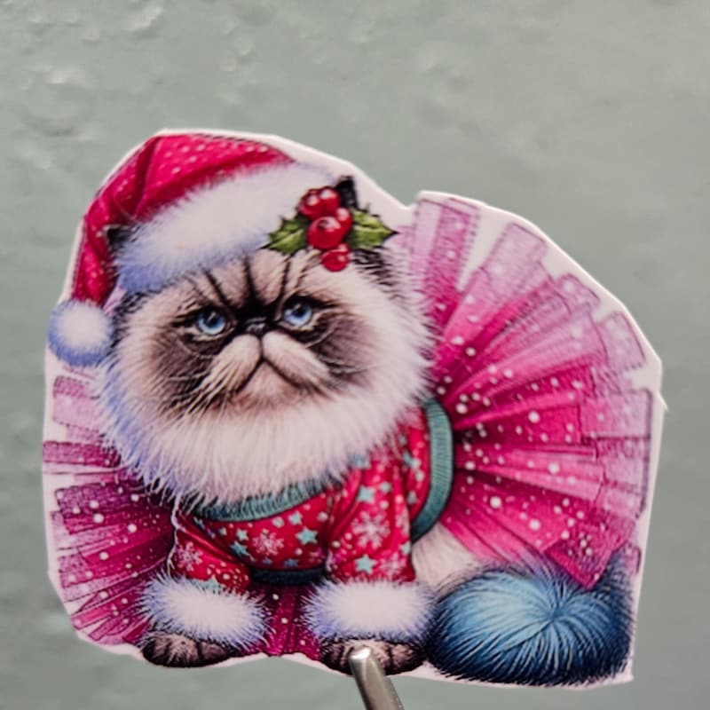 Cat in the Hat Tutu - Etsy