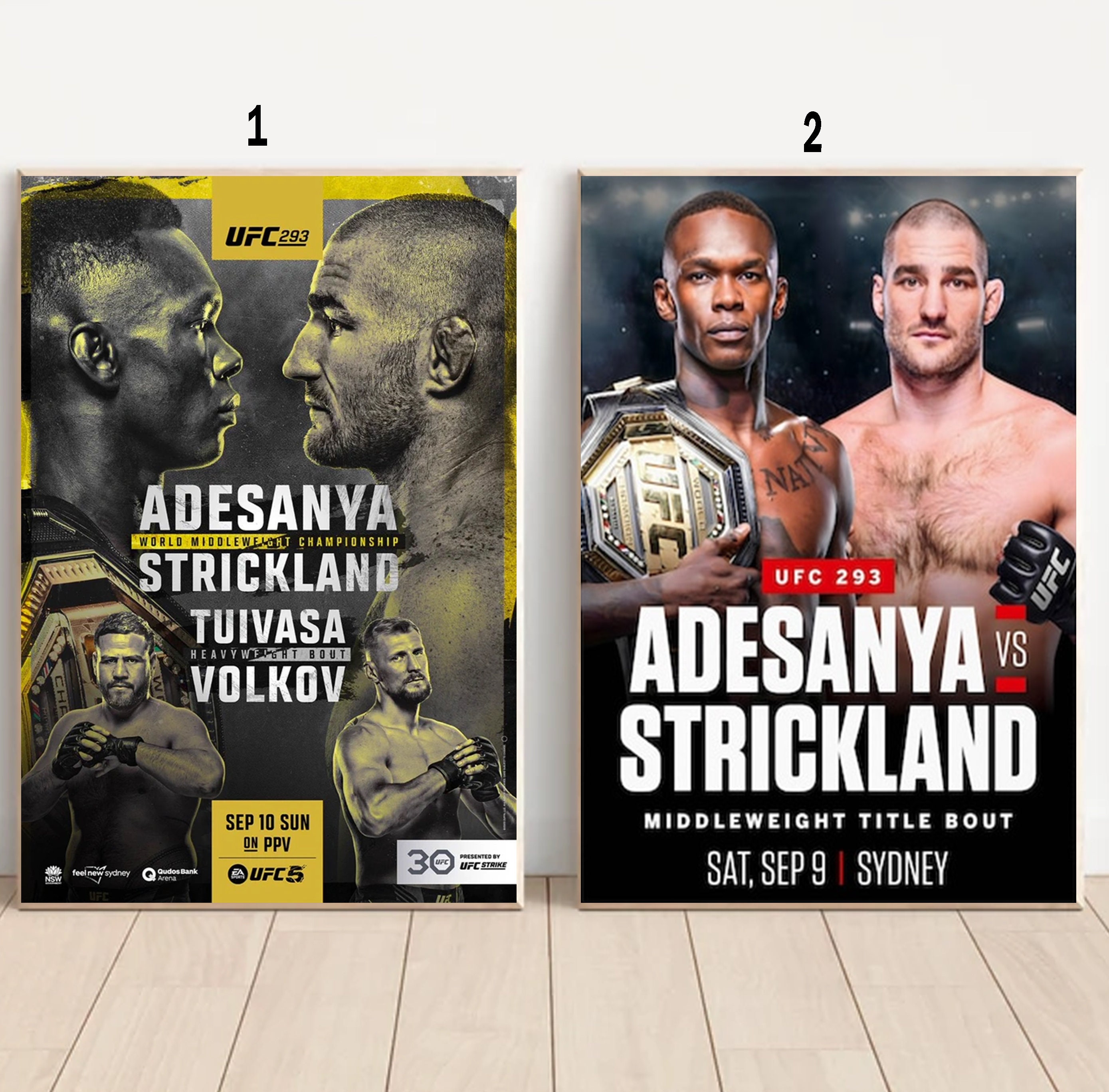 Ufc 162 Poster