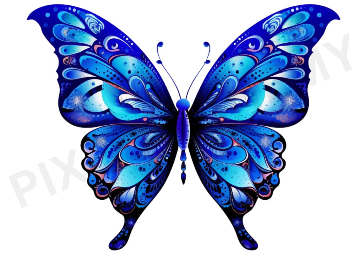 Best Colorful Butterfly Clipart Bundle Watercolor Butterfly - Etsy