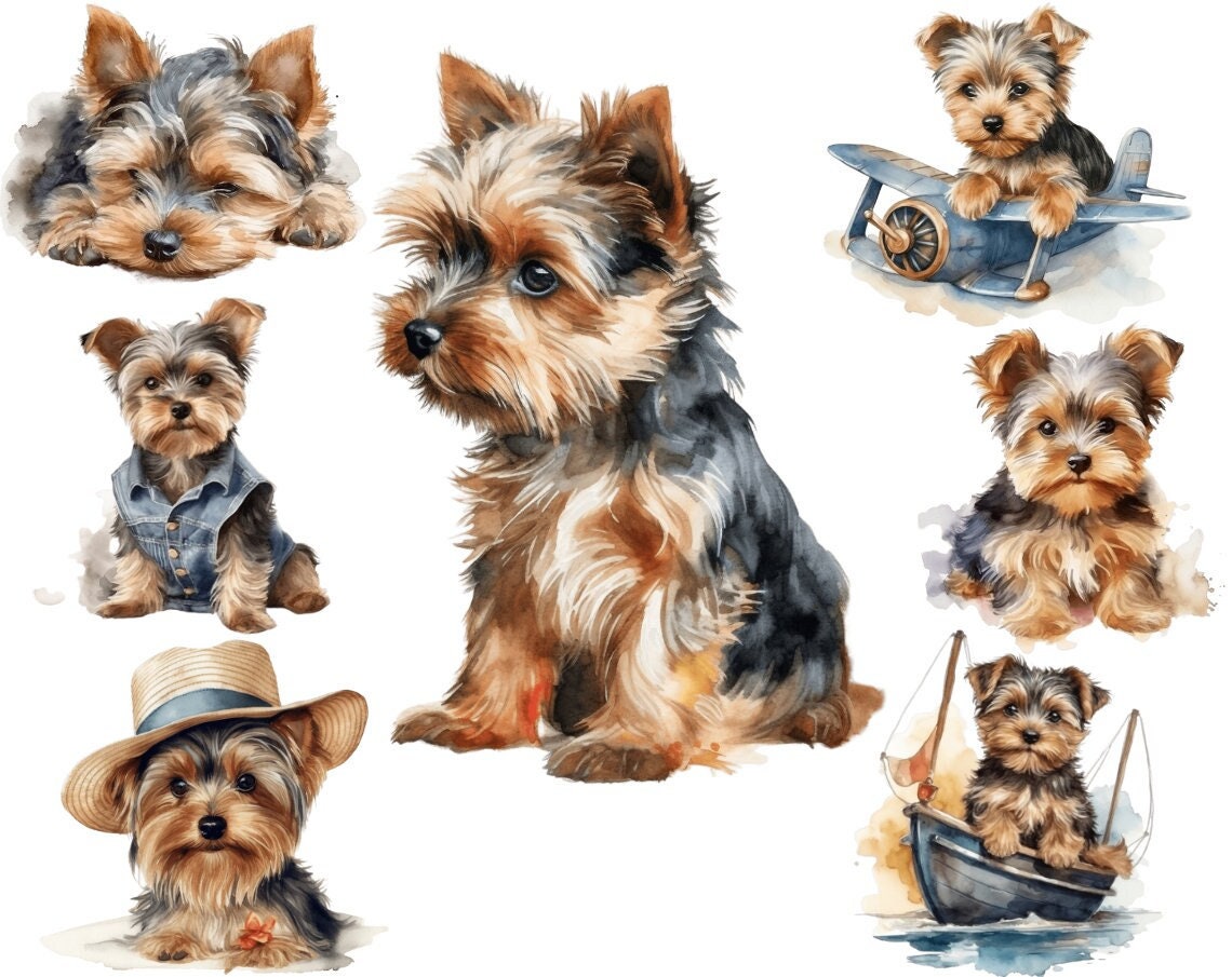 Yorkshire Terrier Watercolor Clipart Cute Yorkie PNG - Etsy