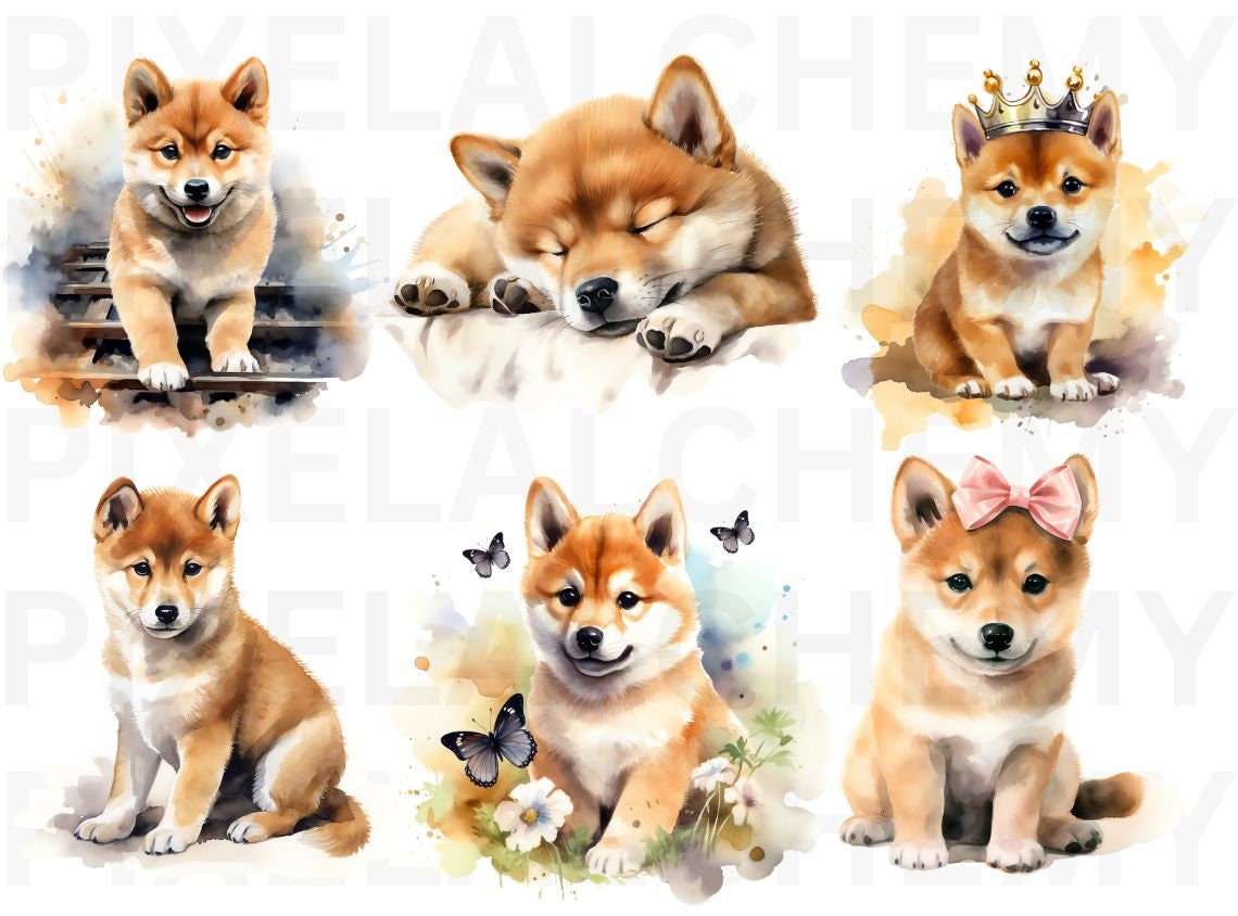 Shiba Inu Watercolor Clipart Cute Shiba Inu PNG Illustration - Etsy