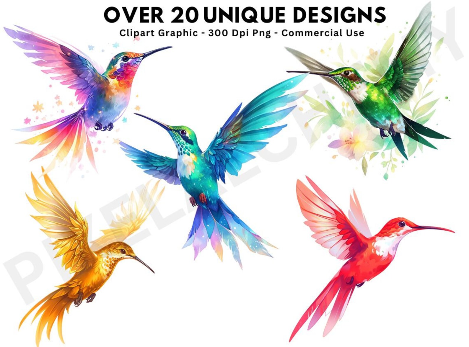 Watercolor Birds Clipart Birds Png Spring Birds Clipart - Etsy