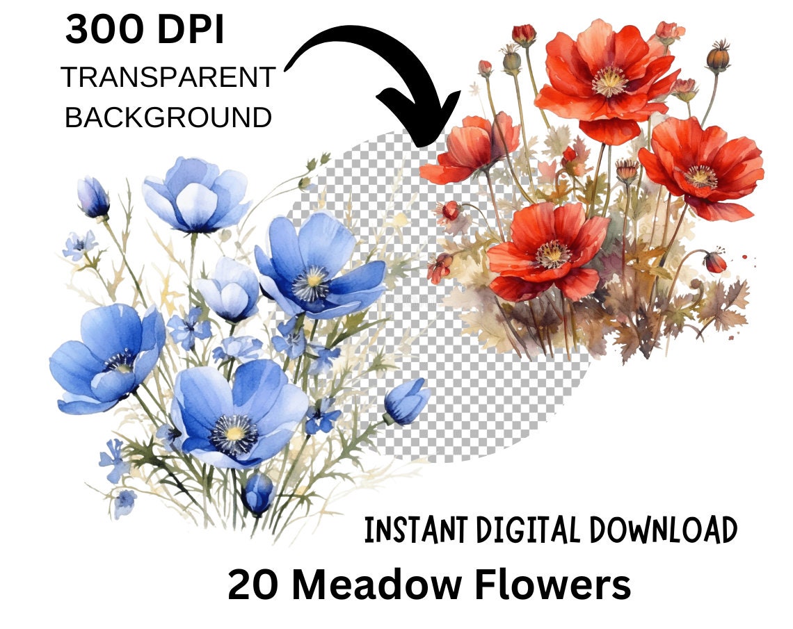 Watercolor Meadow Flowers Clipart Wildflower Floral PNG Png - Etsy