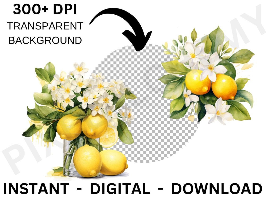 Bouquet Lemon Clipart, Watercolor Lemons Png, Lemon Twig Clipart, Lemon ...