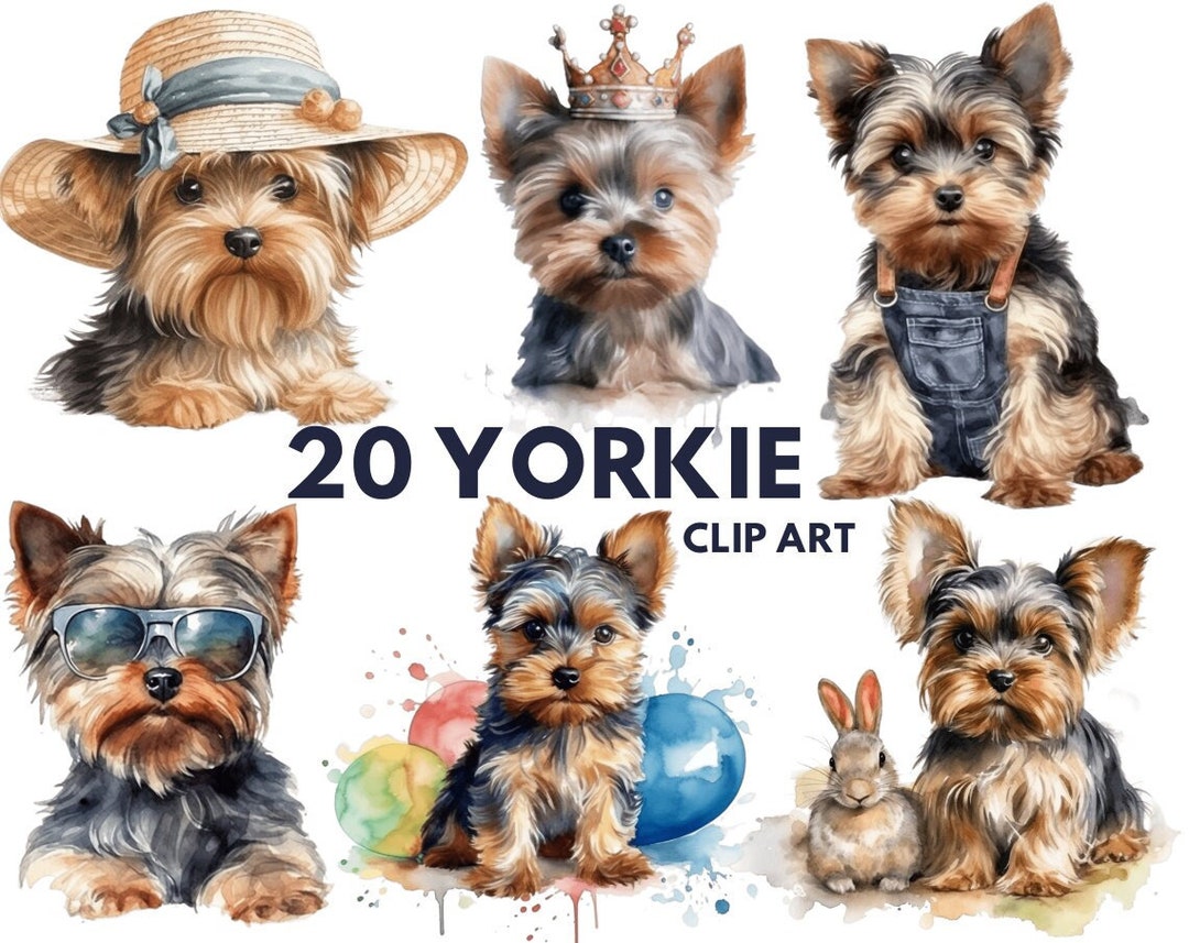 Yorkshire Terrier Watercolor Clipart, Cute Yorkie PNG Illustration Cute ...