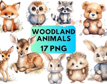 Woodland Animals Watercolor Clipart, Forest Animals Clip Art, Nursery ...