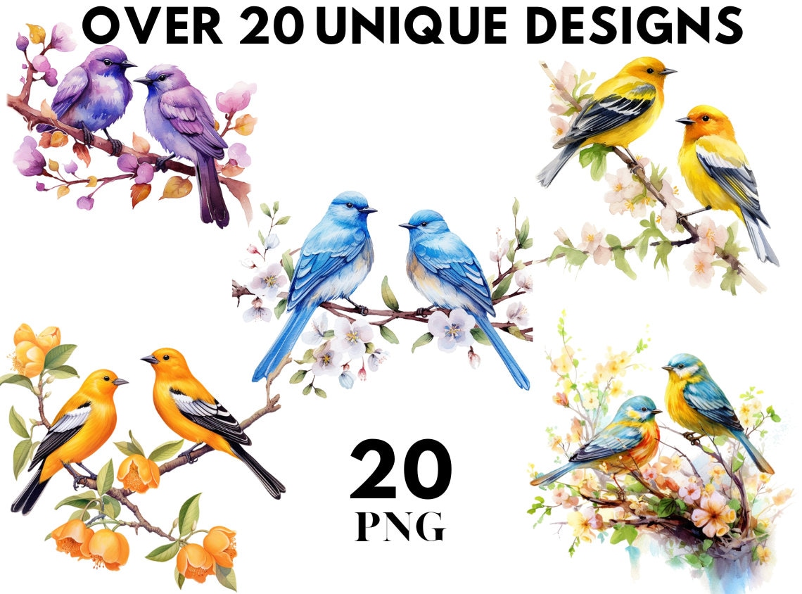 Set of 20, Watercolor Birds Clipart Bundle, Spring Birds Clipart, Birds ...