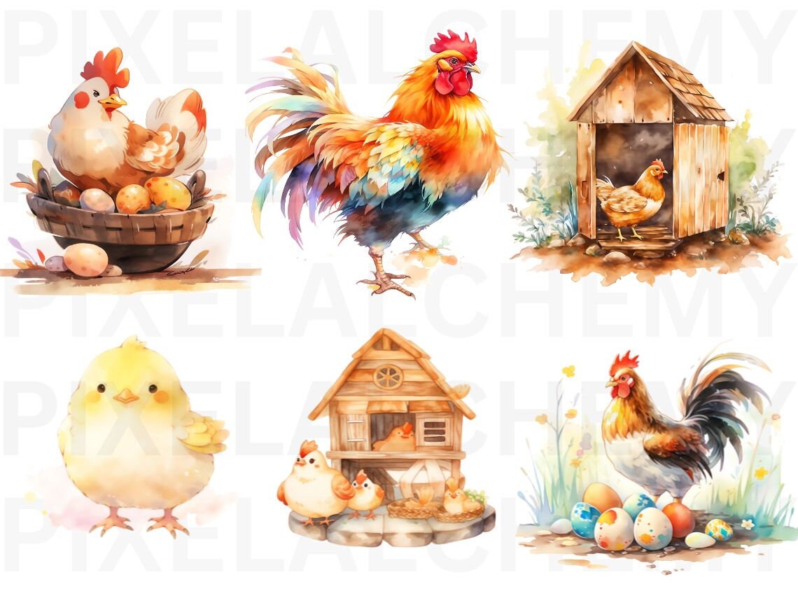 Watercolor Chicken Clipart Cute Chickens Png Chicks - Etsy