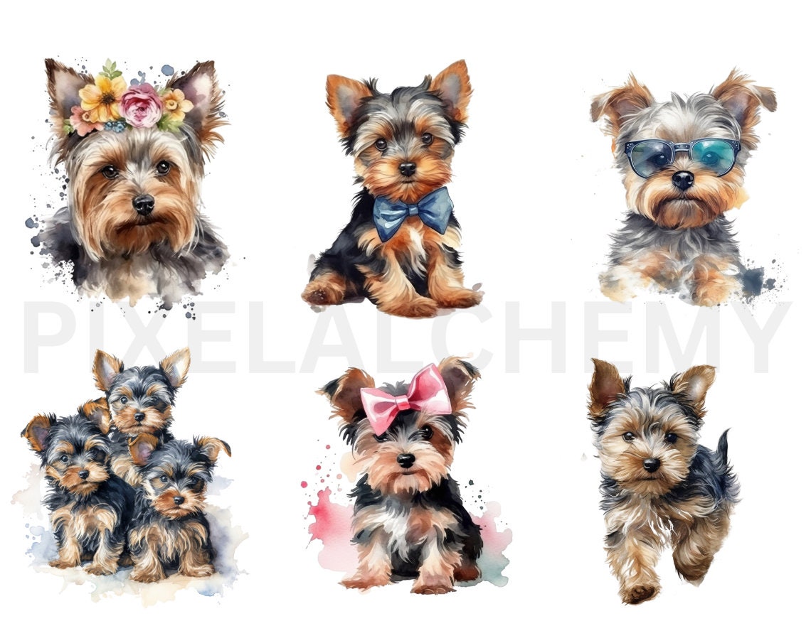Yorkshire Terrier Watercolor Clipart Cute Yorkie PNG - Etsy