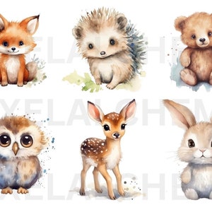 Woodland Animals Watercolor Clipart, Forest Animals Clip Art, Nursery ...