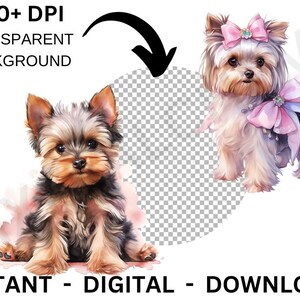 Yorkshire Terrier Watercolor Clipart, Cute Yorkie PNG Illustration Cute ...