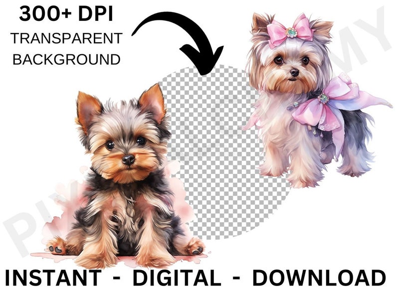 Yorkshire Terrier Watercolor Clipart, Cute Yorkie PNG Illustration Cute ...
