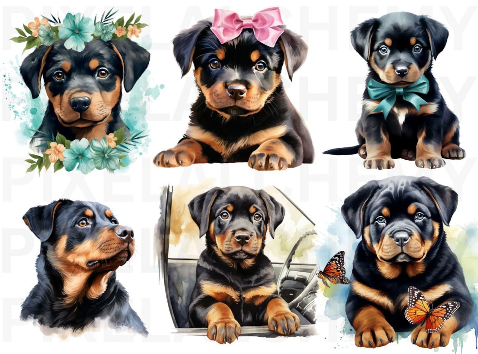 Rottweiler Watercolor Clipart Cute Rottweiler PNG Illustration Cute ...