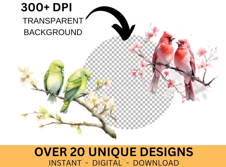 Set of 20 Watercolor Birds Clipart Bundle Spring Birds - Etsy