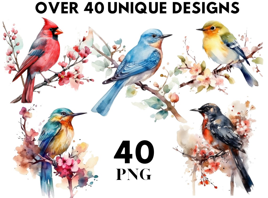 40 Watercolor Birds Clipart Birds Png Spring Birds Clipart - Etsy