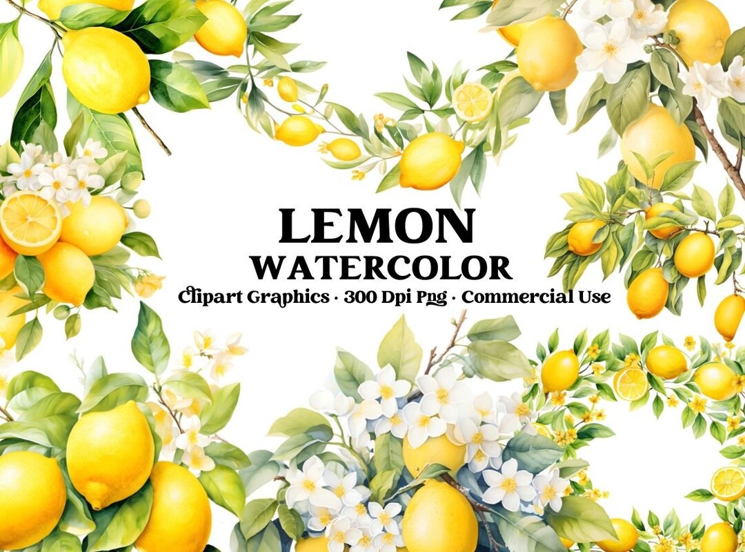 Watercolor Lemon Clipart, Watercolor Lemons Png, Lemon Twig Clipart ...