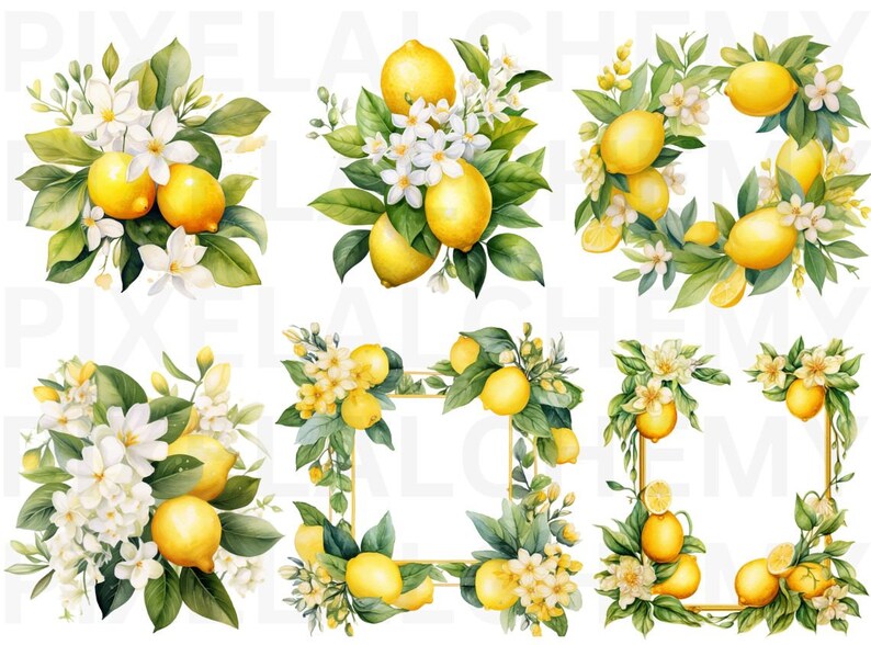 Bouquet Lemon Clipart, Watercolor Lemons Png, Lemon Twig Clipart, Lemon ...