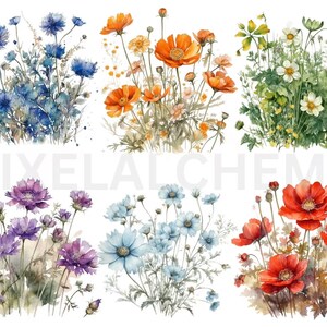 Watercolor Meadow Flowers Clipart, Wildflower Floral PNG, Png Bundle ...