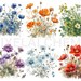 Watercolor Meadow Flowers Clipart, Wildflower Floral PNG, Png Bundle ...