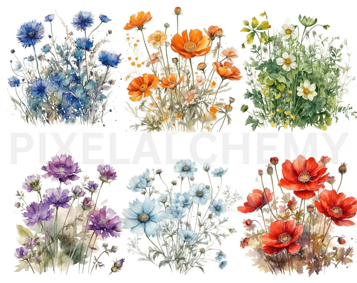 Watercolor Meadow Flowers Clipart Wildflower Floral PNG Png - Etsy