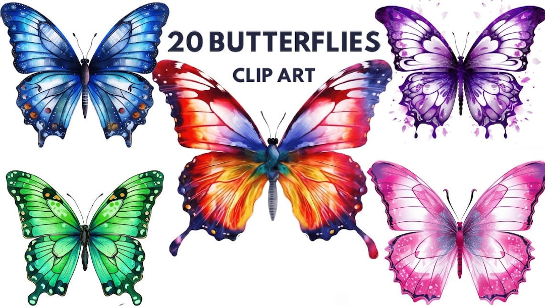 Best Colorful Butterfly Clipart Bundle, Watercolor Butterfly, Butterfly ...