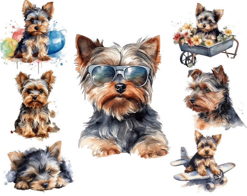 Yorkshire Terrier Watercolor Clipart, Cute Yorkie PNG Illustration Cute ...