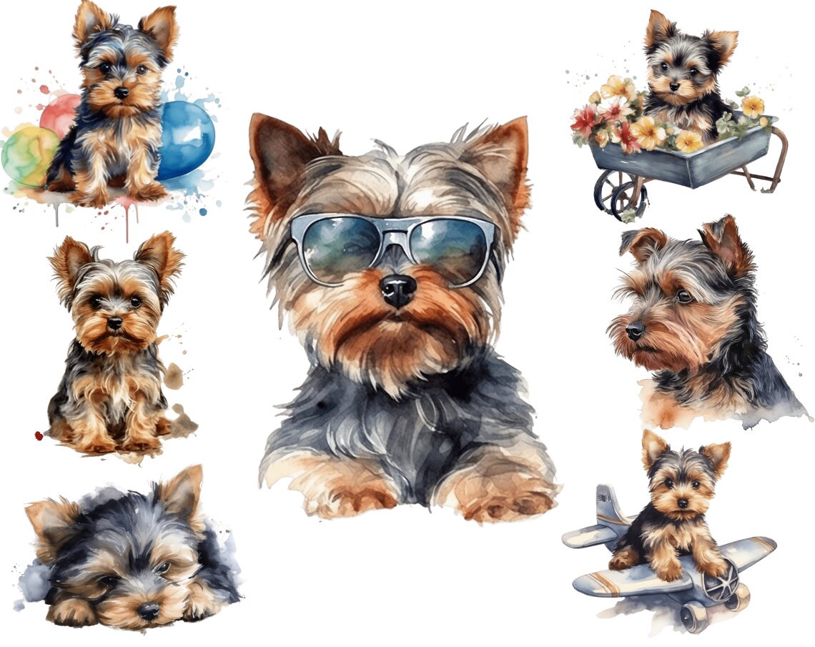 Yorkshire Terrier Watercolor Clipart, Cute Yorkie PNG Illustration Cute ...